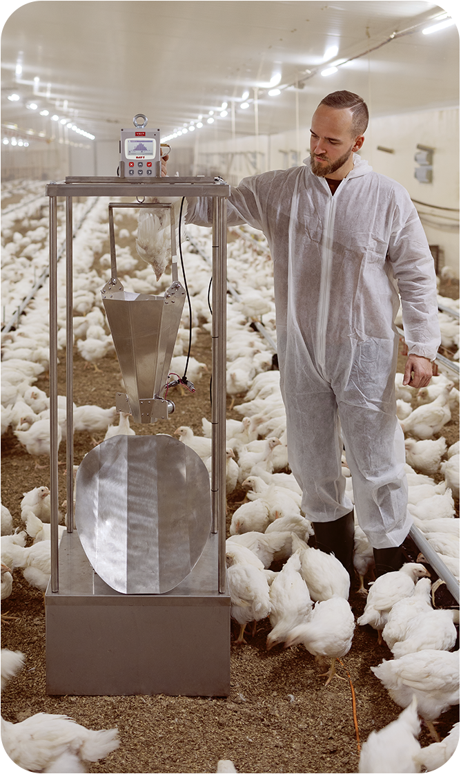 Inquire | BAT Poultry Scales