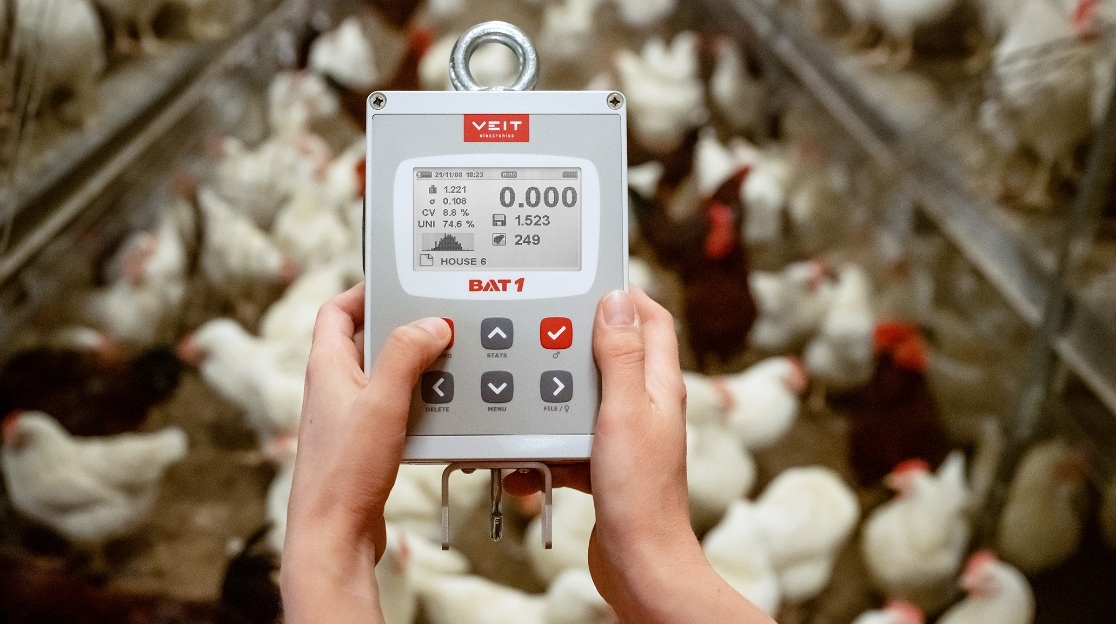 BAT Poultry Scales | Weigh with confidence