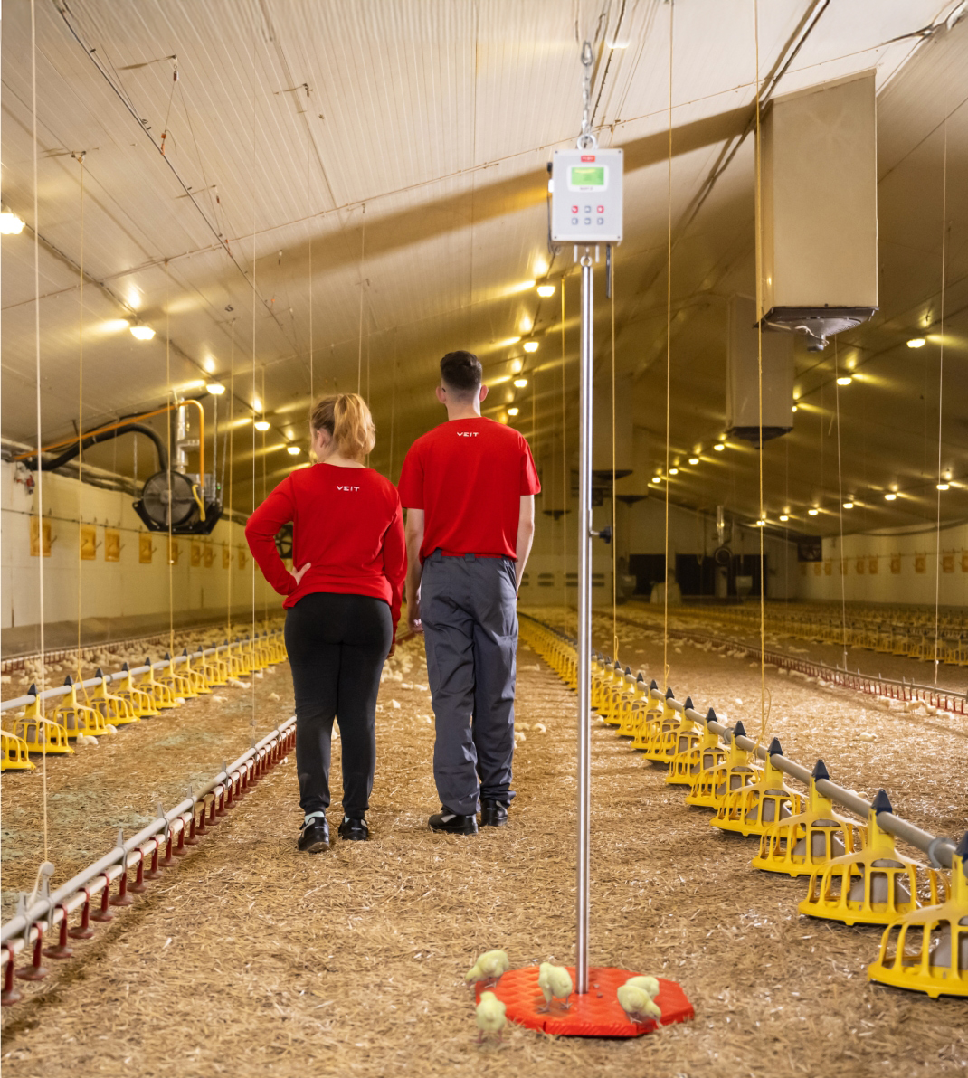 BAT Poultry Scales | Accurate bird weighing