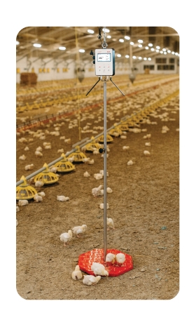 BAT1 | The world’s #1 manual poultry scale